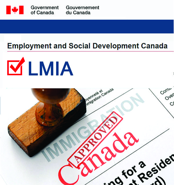 M A Pioneer Canada Immigration Solutions